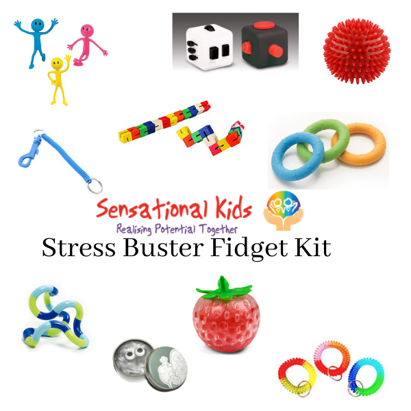 Stress Buster Fidget Kit | Sensational Kids