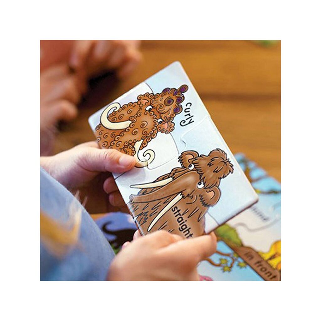 Opposites | Sensational Kids