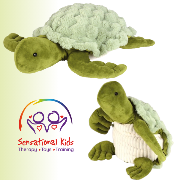 Sam – The Weighted Turtle | Sensational Kids